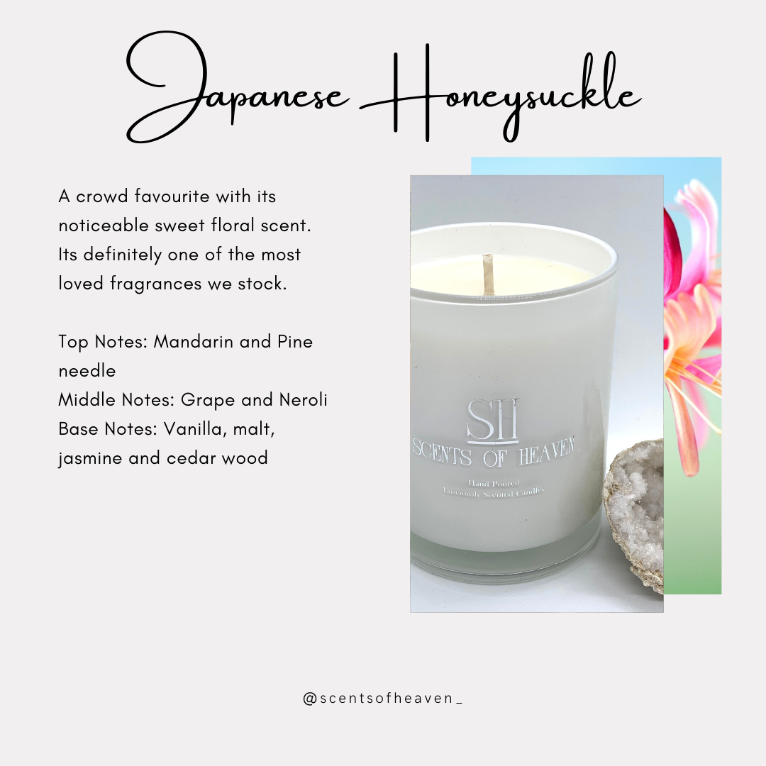 Japanese Honeysuckle Scented Candles | Scented Candles | Shop Now ...